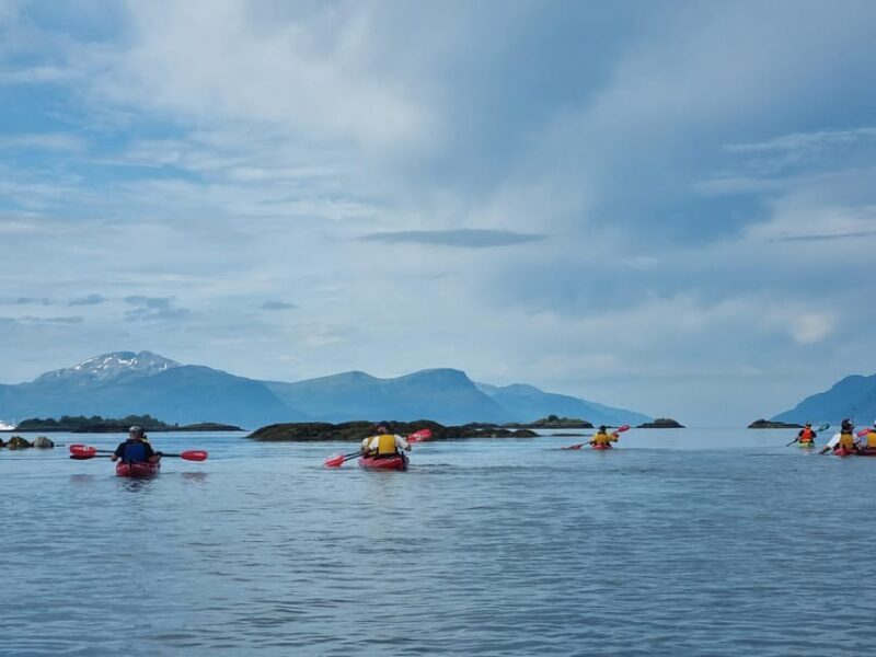 Molde - Guided kayak tour - Why this tour offers great value