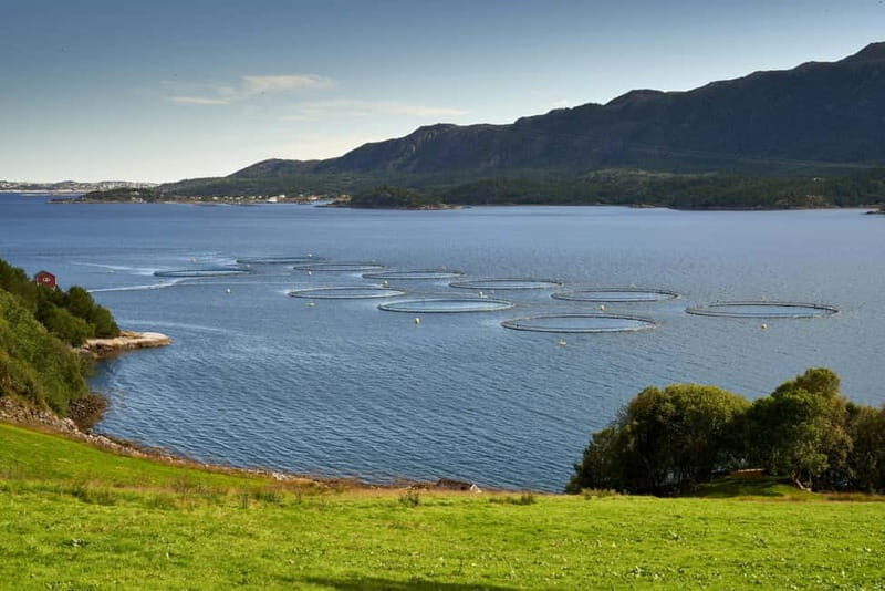 Molde: Journey Along the Atlantics Majestic Route - The Practicalities: What You Need to Know