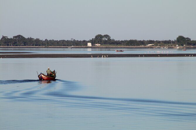Moliceiro boat trip, with experience in bivalves harvesting - Key Points