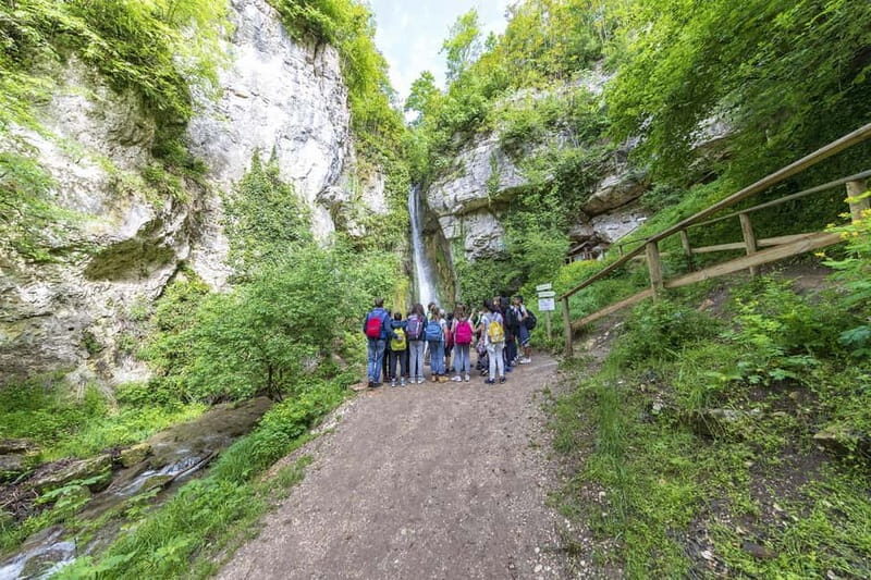 Molina Waterfall Park: tour and optional aperitif - Key Points