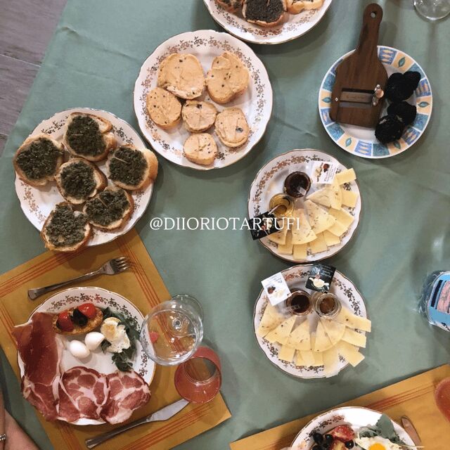 MOLISE TRUFFLE HUNTING WITH FOOD TASTING - Practical Considerations and What to Expect