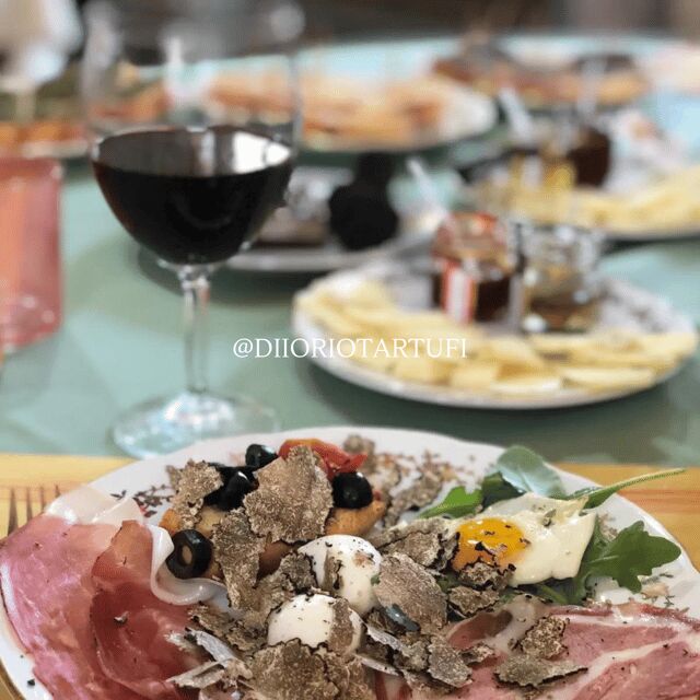MOLISE TRUFFLE HUNTING WITH FOOD TASTING - The Sum Up
