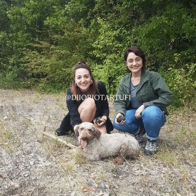 MOLISE TRUFFLE HUNTING WITH FOOD TASTING - FAQ