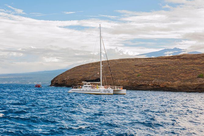 Molokini and Turtle Arches Snorkeling Trip from Ma'alaea Harbor - Food, Refreshments, and Relaxation