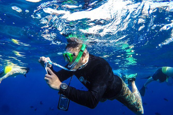 Molokini and Turtle Arches Snorkeling Trip from Ma'alaea Harbor - The Experience, the Views, and the Wildlife