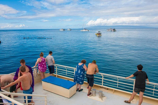 Molokini and Turtle Arches Snorkeling Trip from Ma'alaea Harbor - Who Will Love This Tour?