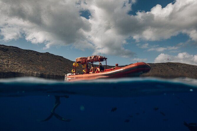 Molokini Crater and South Maui Coast Adventure from Kihei - Why Choose This Tour?