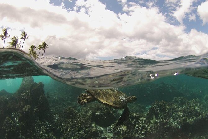 Molokini Crater and South Maui Coast Adventure from Kihei - Food and Comforts