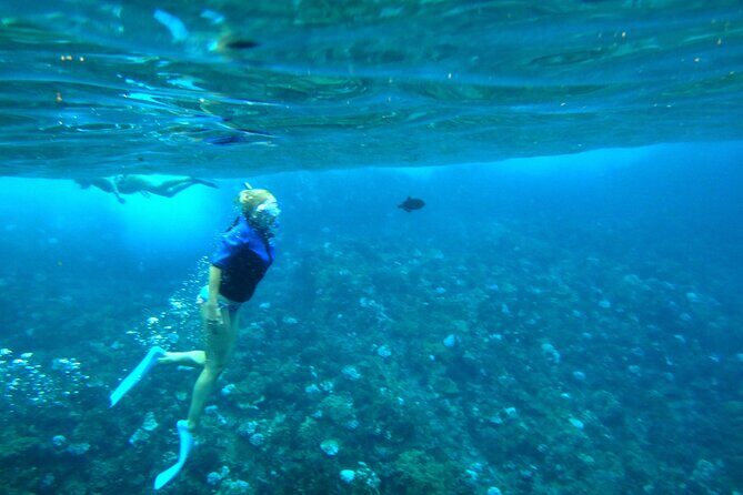 Molokini Crater Snorkeling Adventure - Frequently Asked Questions
