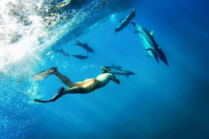 Molokini Snorkel and Performance Sail from Ma'alaea Harbor - FAQ