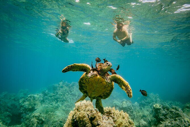 Molokini Snorkel Trip 2-Hour From Kihei - Introduction to the Maui Snorkel Adventure