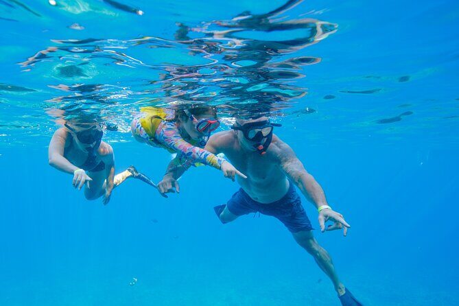 Molokini Snorkel Trip 2-Hour From Kihei - What Travelers Say: Authentic Insights from Reviews