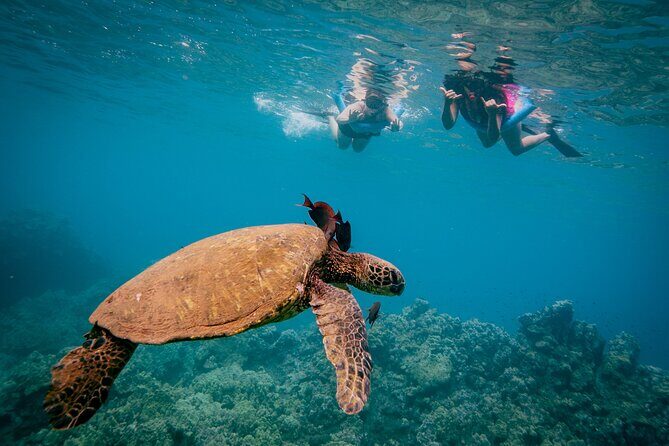 Molokini Snorkel Trip 2-Hour From Kihei - Practical Tips for a Smooth Trip