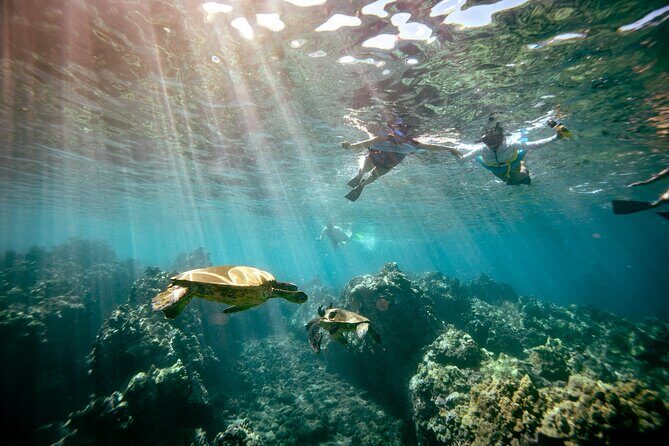 Molokini Snorkel Trip 2-Hour From Kihei - Overall Value and Who Will Enjoy This Tour