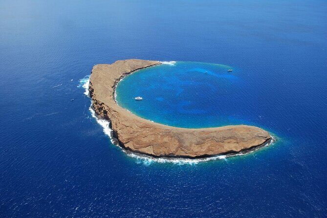 Molokini Snorkeling Adventure Aboard Calypso From Ma'alaea Harbor - Introduction