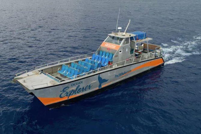 Molokini & Turtle Adventure: Small Group from Ma'alaea Harbor - Introduction: An Authentic Maui Snorkel Adventure