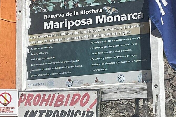 Monarch Butterflies Experience - Authenticity and Experience Quality