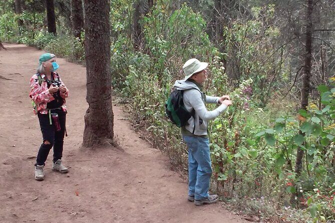 Monarch Butterfly group tour. Join me to watch #butterflies - Key Points
