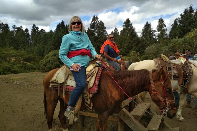 Monarch Butterfly group tour. Join me to watch #butterflies - Who Will Love This Tour?