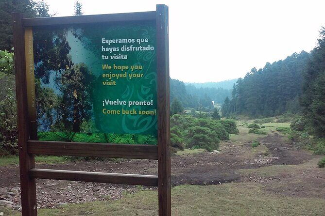 Monarch Butterfly group tour. Join me to watch #butterflies - Final Thoughts