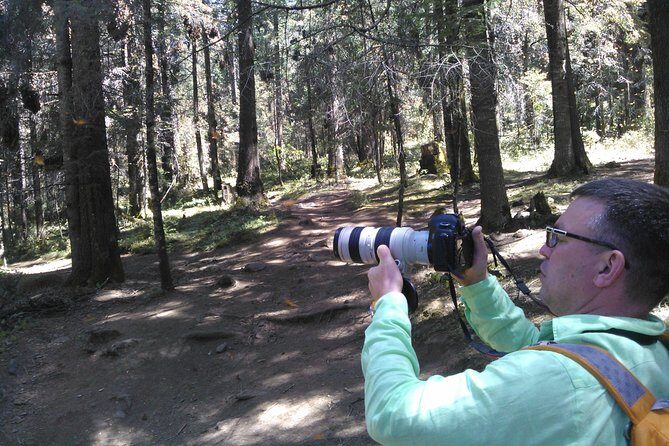 Monarch Butterfly group tour. Join me to watch #butterflies - FAQ