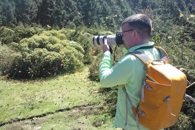 Monarch Butterfly Private Tour (Morelia) - Who Should Consider This Tour?