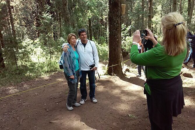 Monarch Butterfly Private Tour (Morelia) - FAQs