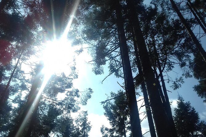 Monarch Butterfly Sanctuary Day Trip from Mexico City - Final Thoughts
