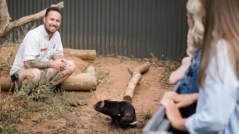 Monarto Safari Park: A Devilish Native Experience - What to Expect During Your Visit