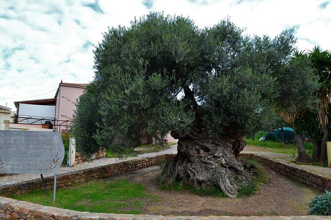 Monastery - Ancient Olive tree & Museum-Cretan Brewery Private Tour from Chania - Exploring Crete’s Hidden Gems: Monastery, Olive Tree & Cretan Brewery Private Tour from Chania