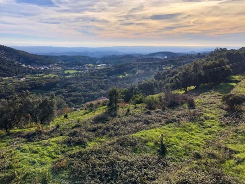 Monchique: Highlights Tour - Exploring the Algarve’s Mountain Heart