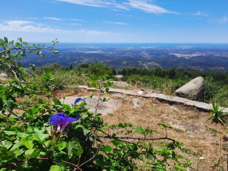 Monchique & Silves: guided day trip - Who Is This Tour Best For?