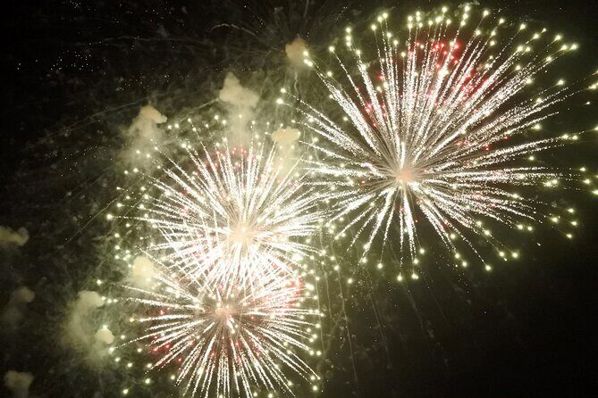 Monday & Thursday Nights Harbor Lights Tiki Tour - What Makes This Tour Special?