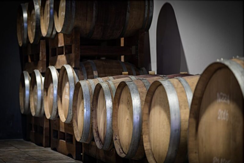 Monferrato: Barbera Wine Tasting Experience - The Experience in Practice