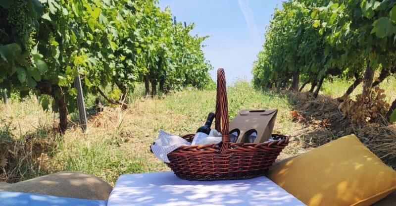 Monferrato: Garetto Wine Estate Tour and Picnic Private - Key Points