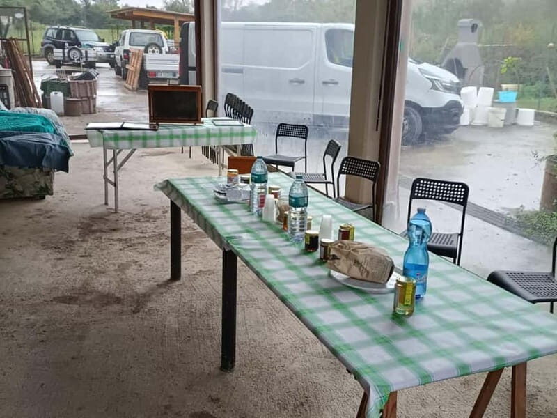 Monferrato: Honey and Mead Tasting Experience - Discover the Sweet Side of Piedmont: Monferrato’s Honey and Mead Tasting Experience