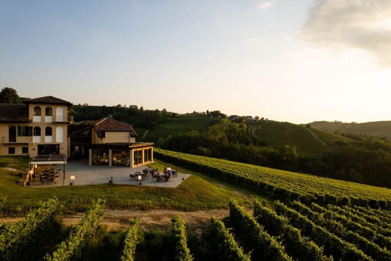 Monforte d'Alba: Barolo Tasting, Vineyard & Cellar Visit - An Introduction to the Tour: What You’ll Get