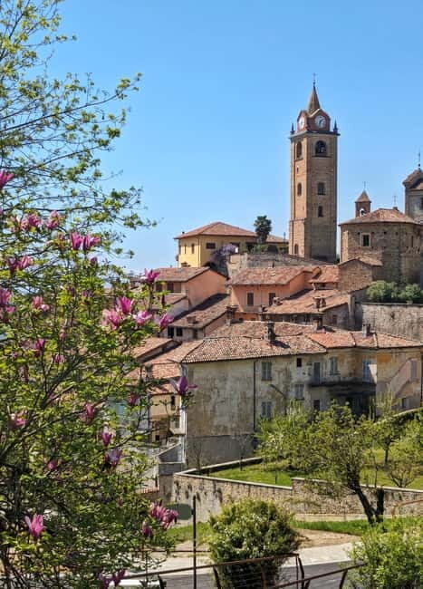 Monforte dAlba: Guided Walking Tour with Wine Tasting - Who Should Consider This Tour?