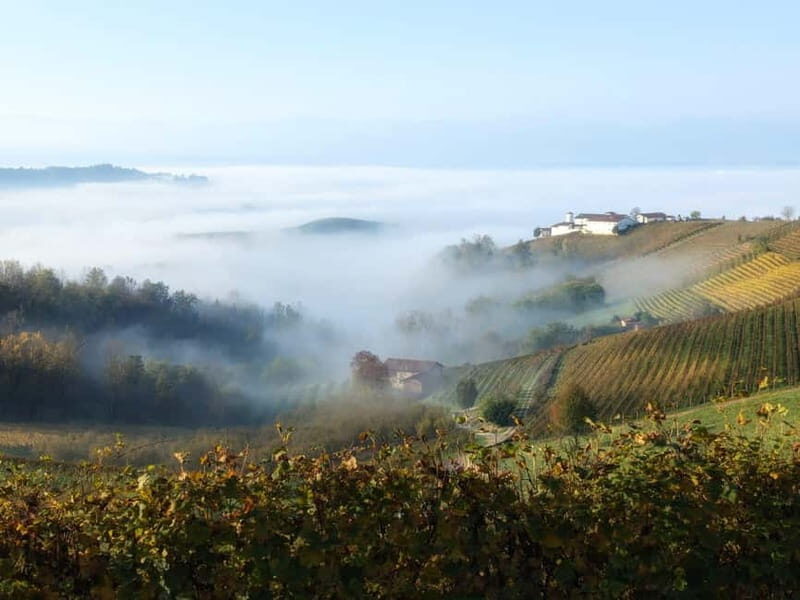 Monforte dAlba: Guided Walking Tour with Wine Tasting - FAQ