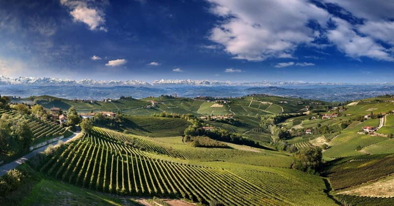 Monforte d'Alba: Picnic & Big Benches - Key Points