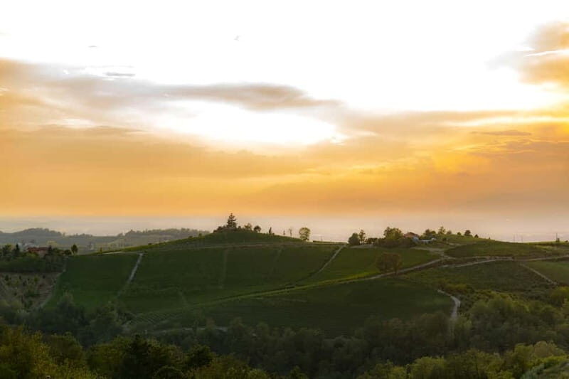 Monforte d'Alba: Picnic & Big Benches - An In-Depth Look at the Experience
