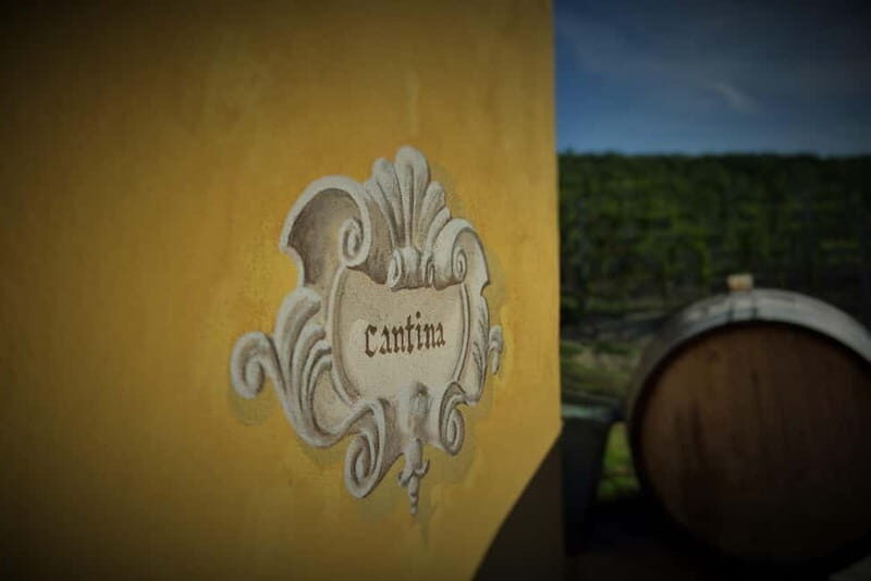 Monforte d'Alba: Wine and Chocolate Tasting Experience - Final Thoughts: Who is This Tour Best Suited For?
