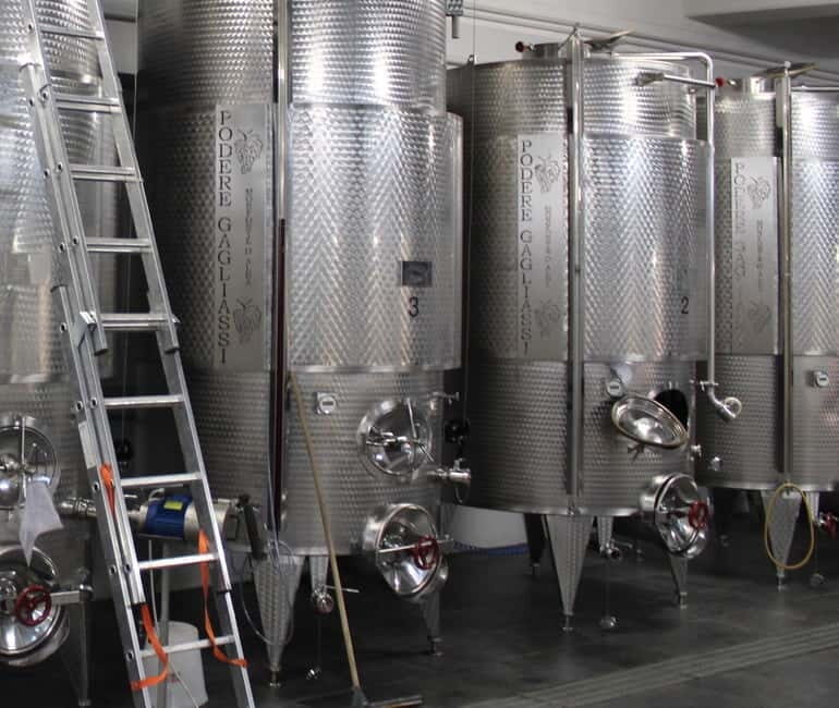 Monforte d'Alba: Wine Tasting, Cellar Visit, and Vineyard Tour - The Cellar Visit: Tradition Meets Modernity