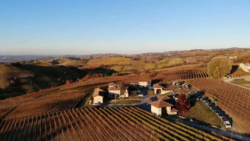Monforte d'Alba: Wine Tasting, Cellar Visit, and Vineyard Tour - Authenticity and Uniqueness: What Sets This Apart