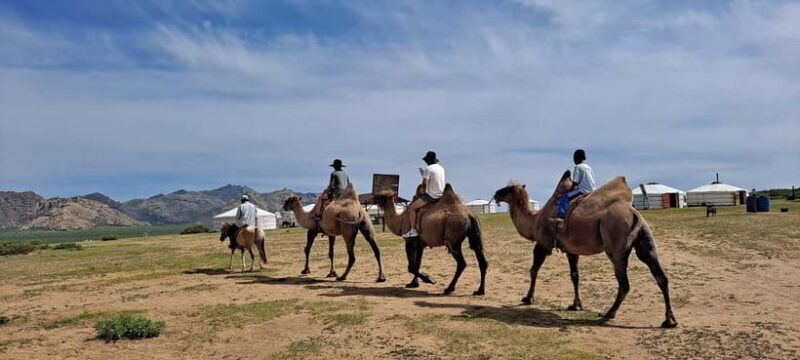 Mongolia: Mini Gobi, Orkhon, and Kharkhorin 4 Day Tour - Discovering Mongolia: The Heart of Your 4-Day Adventure