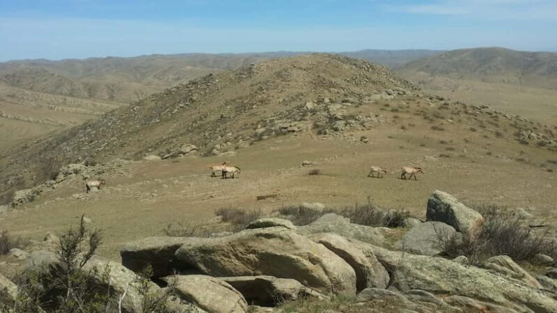Mongolia: Mini Gobi, Orkhon, and Kharkhorin 4 Day Tour - Day 3: The Majestic Orkhon Valley and Waterfalls
