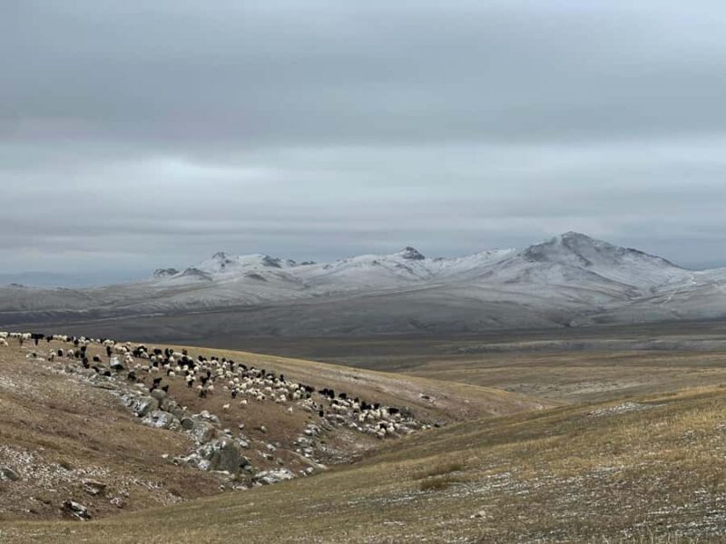 Mongolia: Overnight Nomadic Herders Experience - Key Points