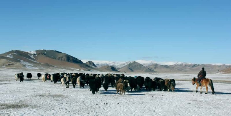 Mongolia: Overnight Nomadic Herders Experience - Supporting Local Herders: Why It Matters