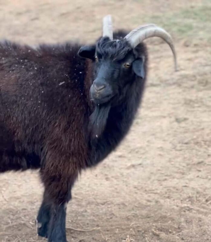 Mongolia: Overnight Nomadic Herders Experience - The Environment: Winter’s Challenge and Beauty