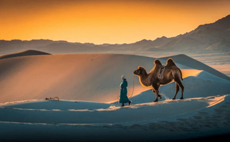 MONGOLIA SOUTH GOBI DESERT: 6 Day Exclusive Private Tour - The Authentic Mongolian Experience